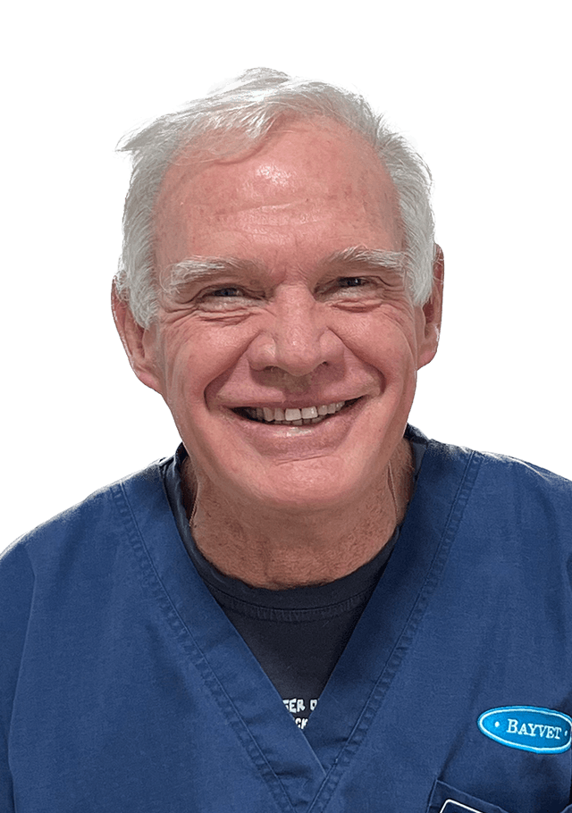 Team | Bayvet Veterinary Clinic